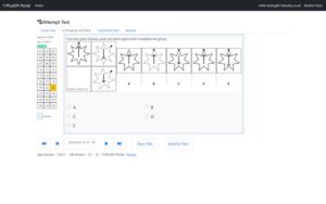 About 11 Plus Online Learning - 11 Plus DIY