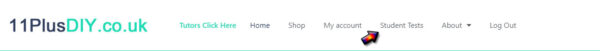 11 Plus Online Preparation Guide - 11PlusDIY